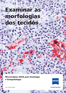 Microscopes for Histology and Histopathology